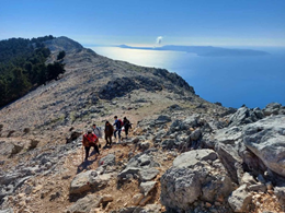 1ο ΣΥΣΤΗΜΑ ΠΡΟΣΚΟΠΩΝ ΑΡΓΟΣΤΟΛΙΟΥ – Voutospress Kefalonia